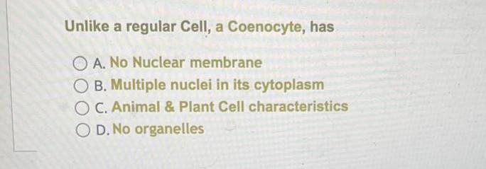 Solved Unlike a regular Cell, a Coenocyte, has O A. No | Chegg.com