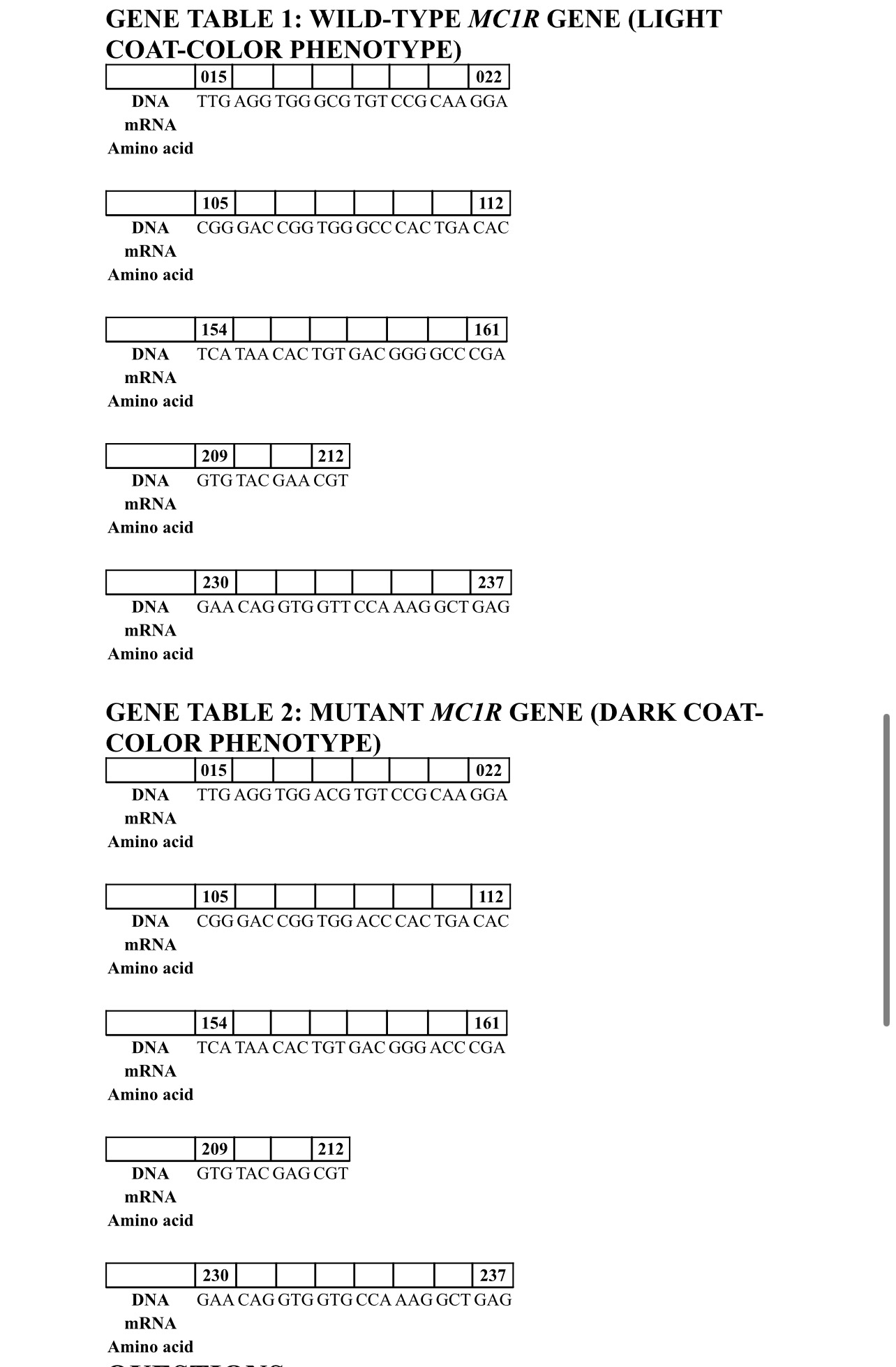Solved GENE TABLE 1: WILD-TYPE MC1R GENE (LIGHT COAT-COLOR | Chegg.com