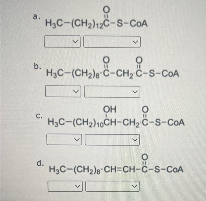 Solved In which step (of Steps 1 through 4) and in which | Chegg.com