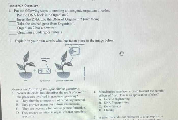 Solved Transgenic Organisms: 1. Put the following steps to | Chegg.com