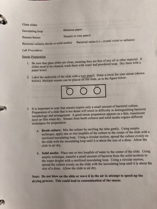 3-Preparation of Bacterial Smears and Simple Stains | Chegg.com