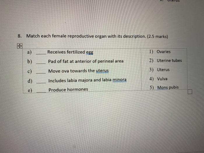Solved 8. Match each female reproductive organ with its | Chegg.com