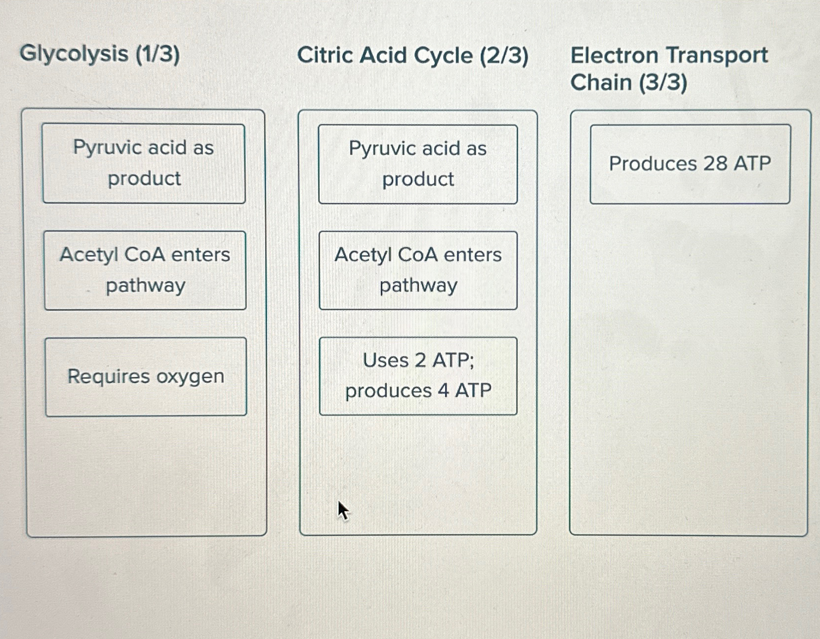 Solved Glycolysis (1/3)Pyruvic acid as productAcetyl CoA | Chegg.com