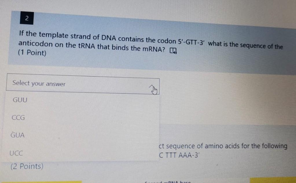 Solved 2 If the template strand of DNA contains the codon | Chegg.com