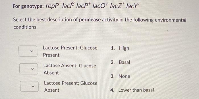 Solved lach+ Select the best description of permease | Chegg.com
