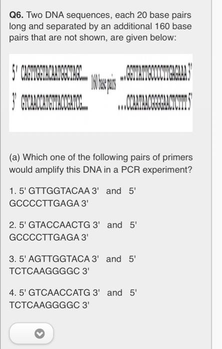 Solved Q6. Two DNA sequences, each 20 base pairs long and | Chegg.com
