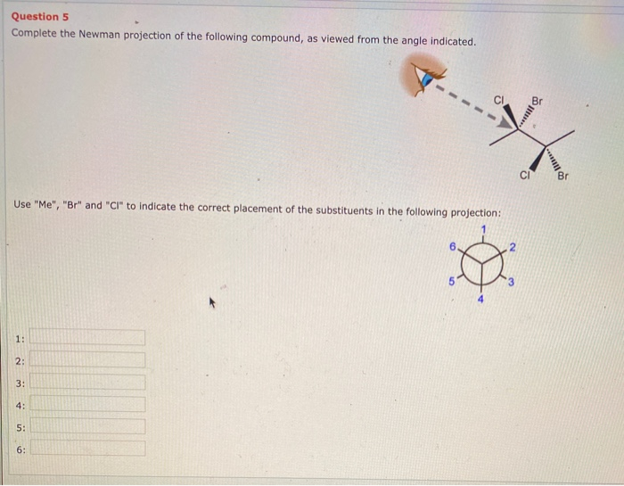 Solved Question 5 Complete the Newman projection of the | Chegg.com