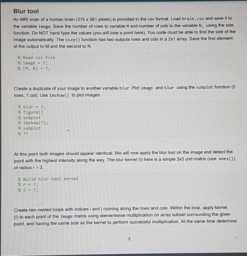 Solved Blur tool An MRI scan of a human brain (315 x 561 | Chegg.com