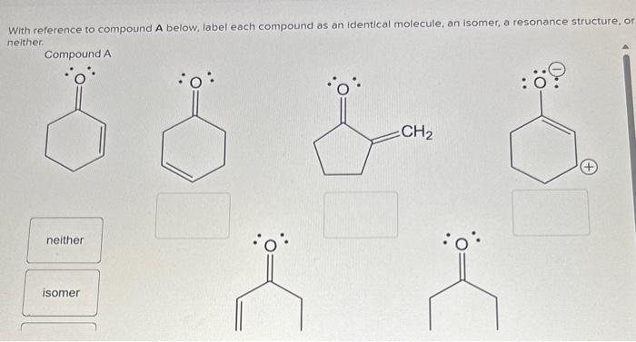 Solved With reference to compound A below, label each | Chegg.com