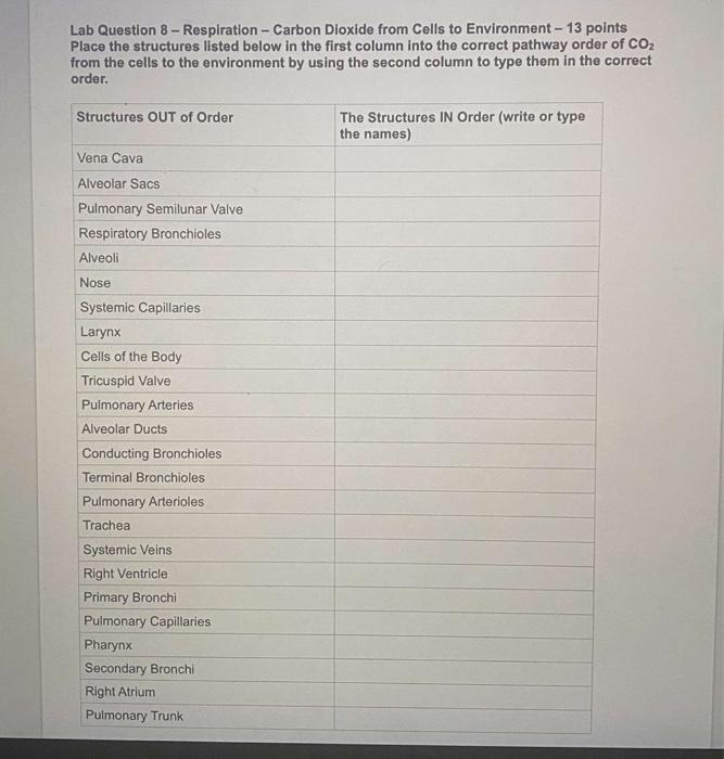 Solved View Zoom Add page Insert Table Chart Text Shape | Chegg.com