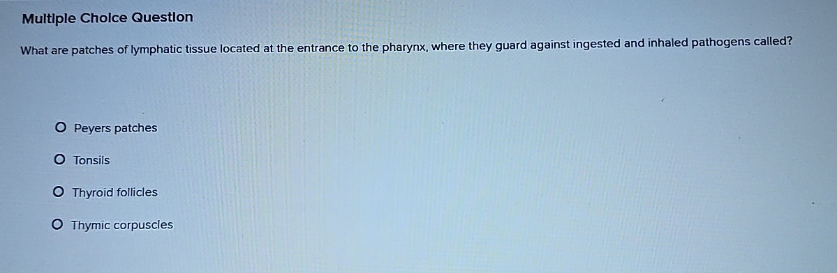 Solved Multiple Cholce QuestionWhat are patches of lymphatic | Chegg.com