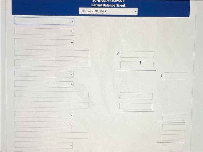 Solved Partial Balance Sheet December 31. 2025 $ $$On | Chegg.com