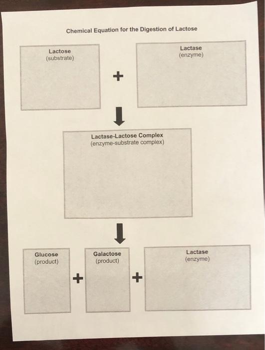 Solved Chemical Equation for the Digestion of Lactose | Chegg.com