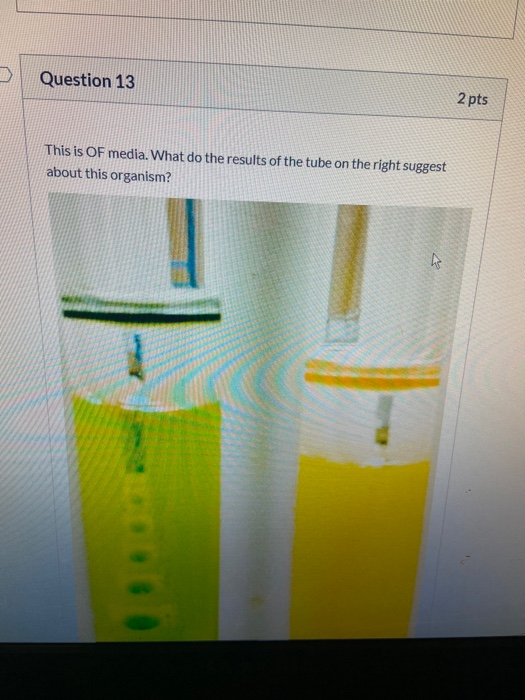 Solved Question 12 2 pts Below are the results of the | Chegg.com