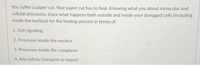 Solved You suffer a paper cut. Your paper cut has to heal. | Chegg.com