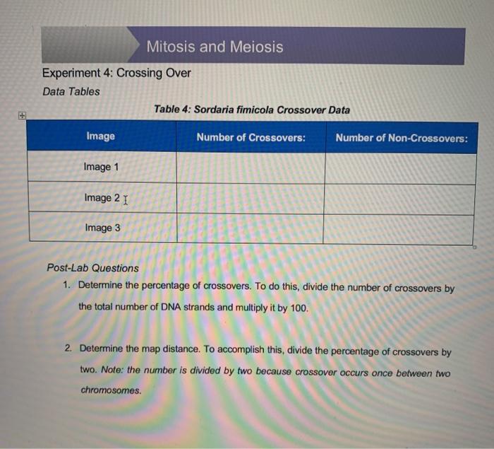 Mitosis and Meiosis Experiment 4: Crossing Over Data | Chegg.com