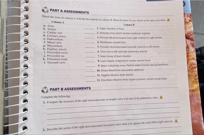 Solved PART B ASSESSMENTS Complete the following: 1. Compare | Chegg.com