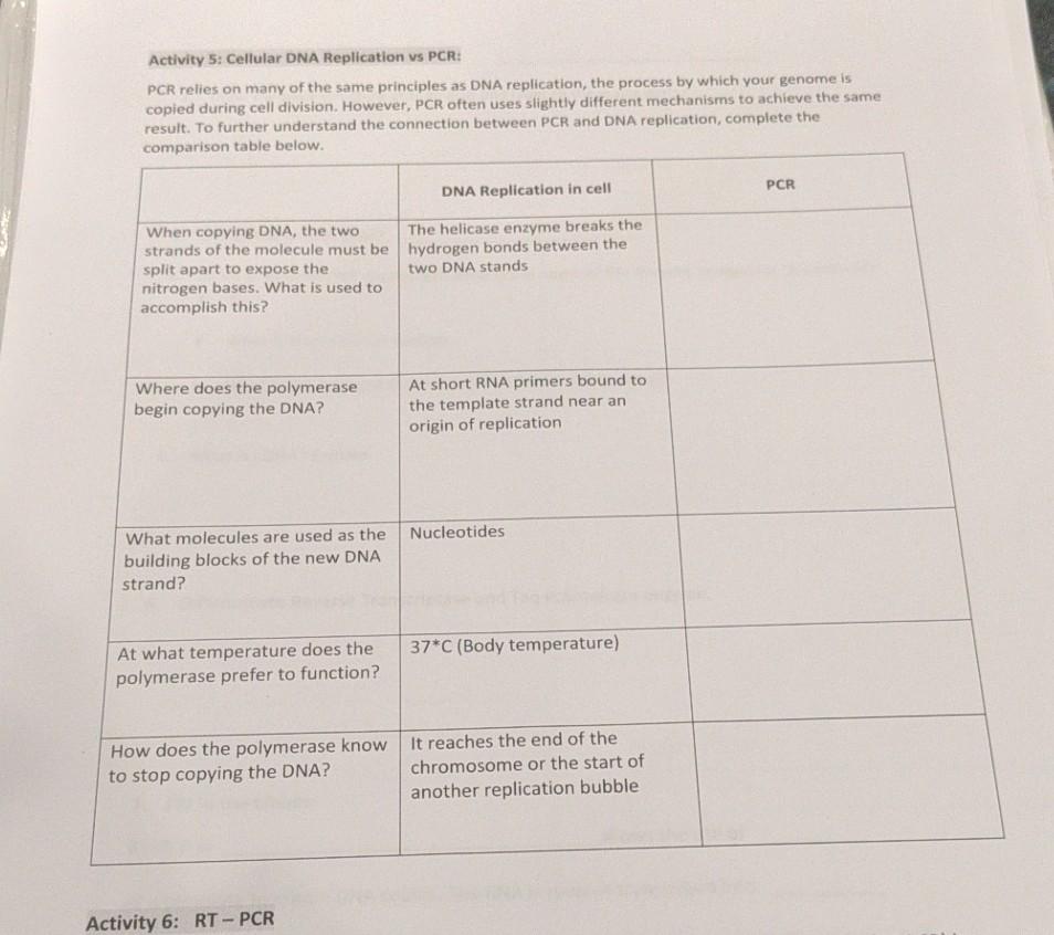 Solved Activity 5: Cellular DNA Replication vs PCR: PCR | Chegg.com