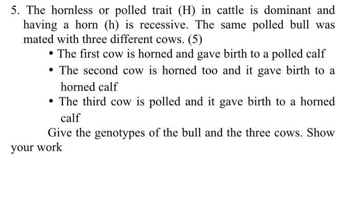 Solved 5. The hornless or polled trait (H) in cattle is | Chegg.com