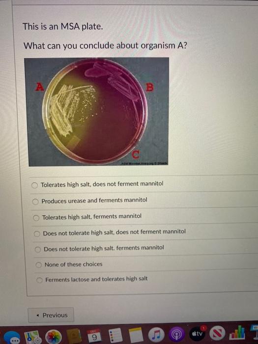 Solved This is an MSA plate. What can you conclude about | Chegg.com