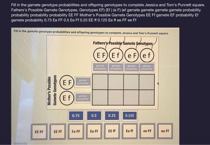 Solved Fill in the gamete genotype probabilities and | Chegg.com
