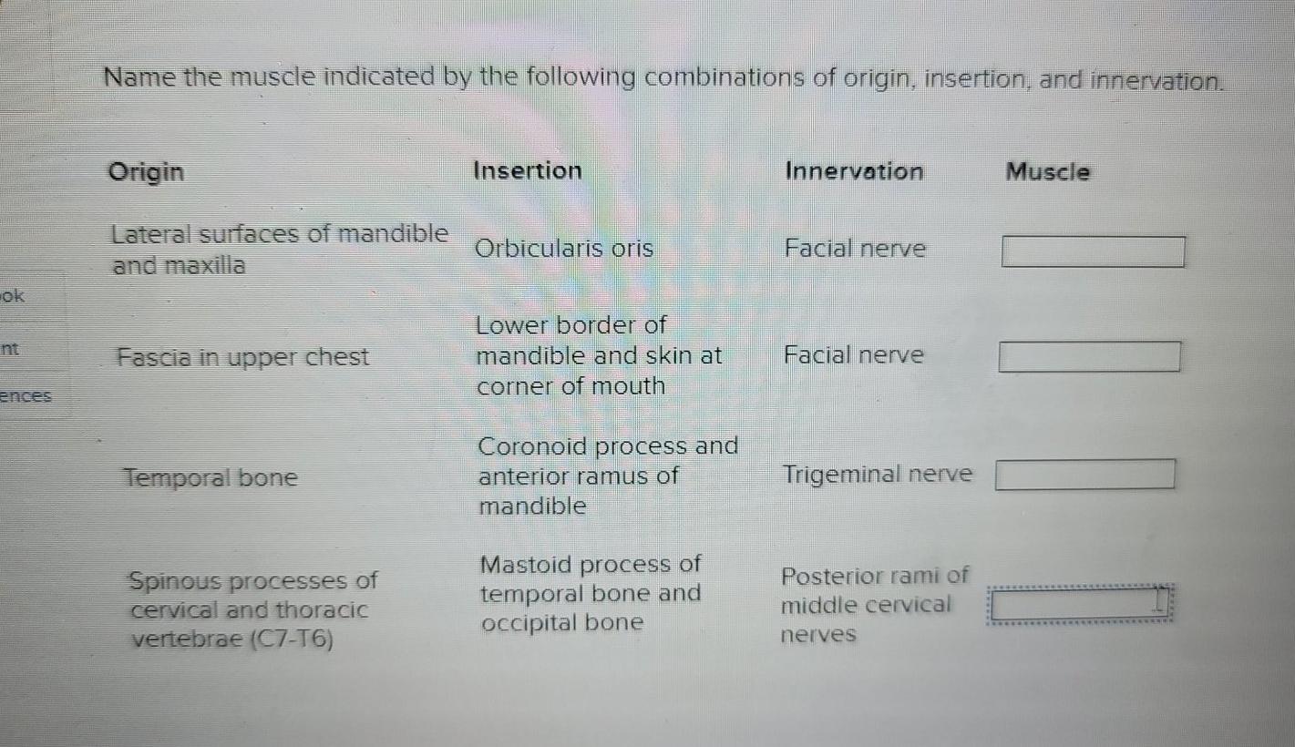 Solved name the muscle indicated by the following | Chegg.com