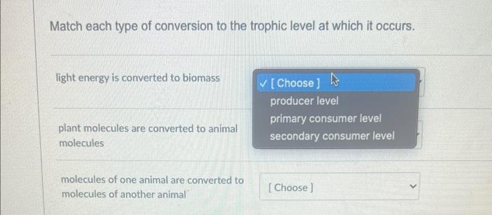 Solved Match each type of conversion to the trophic level at | Chegg.com
