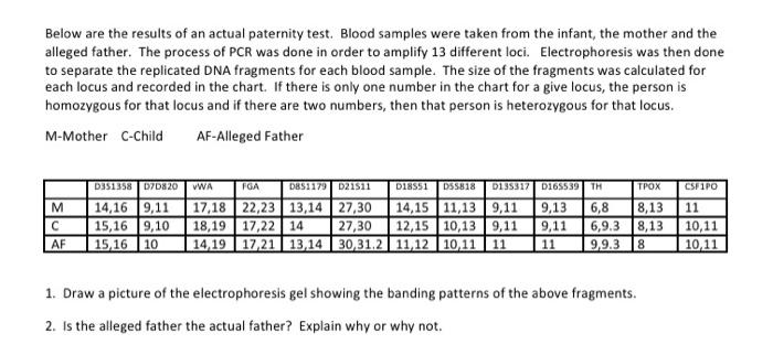 Below are the results of an actual paternity test. | Chegg.com