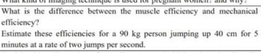 Solved What is the difference between the muscle efficiency | Chegg.com