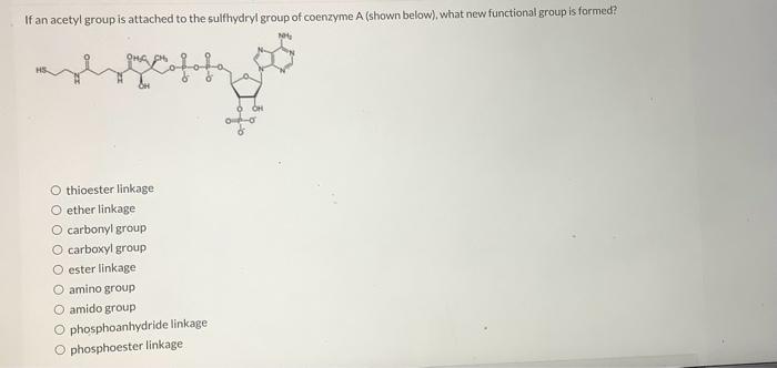 Solved thioester linkage ether linkage carbonyl group | Chegg.com