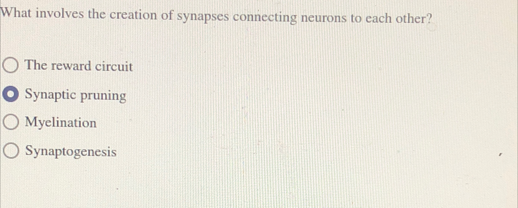 Solved What involves the creation of synapses connecting | Chegg.com