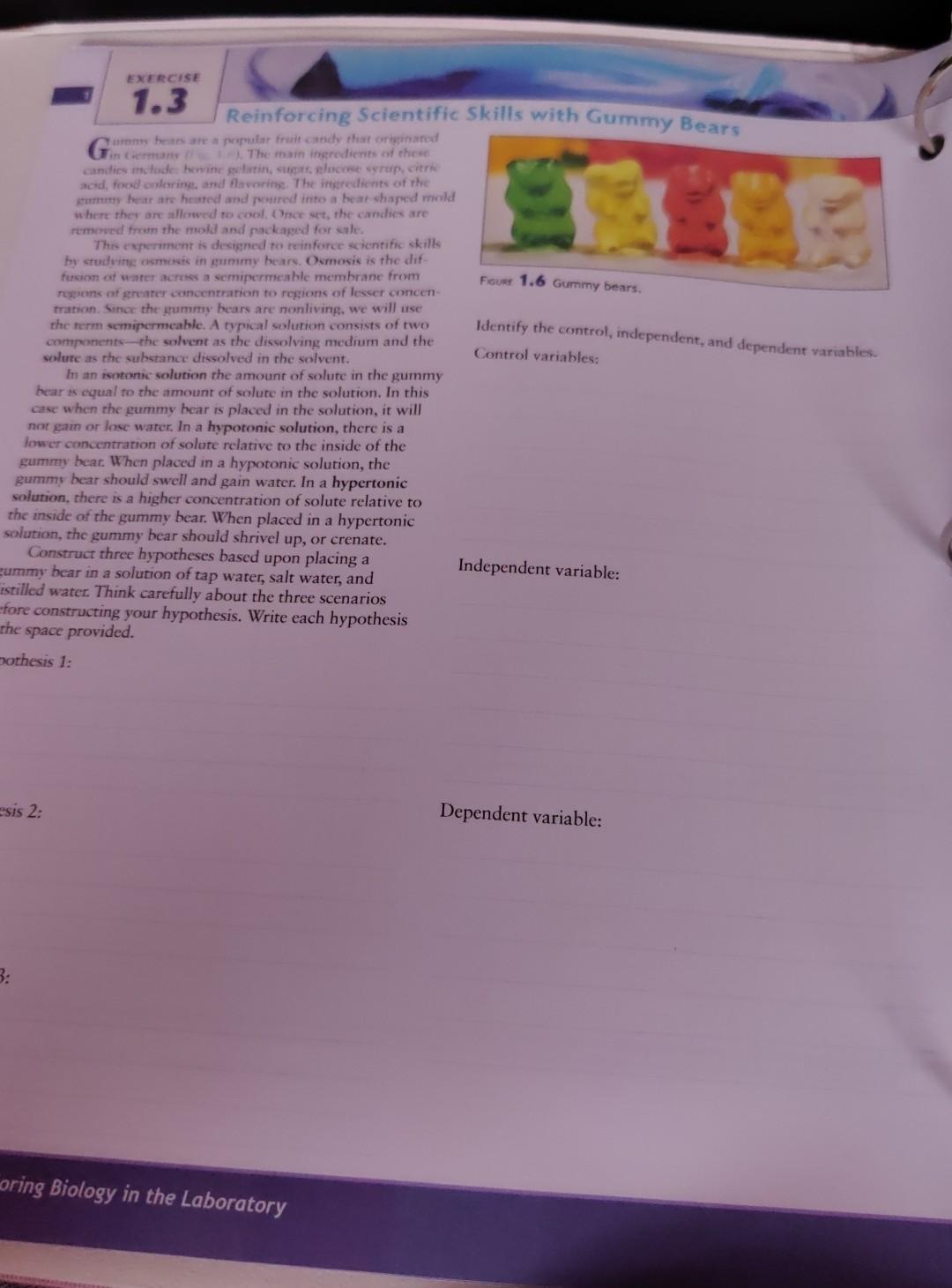 Solved EXERCISE 1.3 Reinforcing Scientific skills with Gummy | Chegg.com