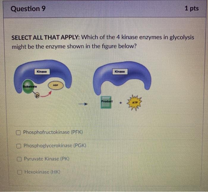 Solved Question 9 1 pts SELECT ALL THAT APPLY: Which of the | Chegg.com