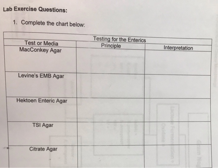 Solved Lab Exercise Questions: 1. Complete the chart below: | Chegg.com