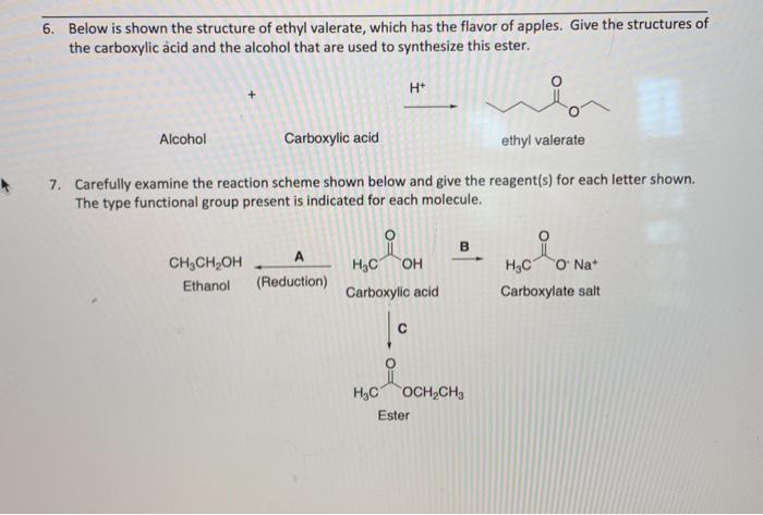Solved 6. Below is shown the structure of ethyl valerate, | Chegg.com
