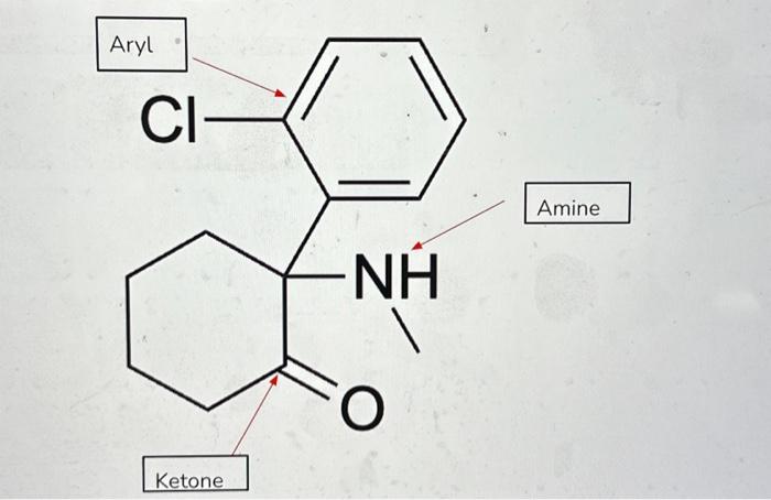 Solved Amine Ketone | Chegg.com