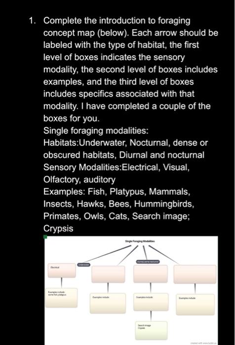 Complete the introduction to foraging concept map | Chegg.com
