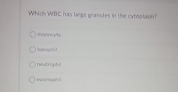 Solved Which WBC has large granules in the | Chegg.com