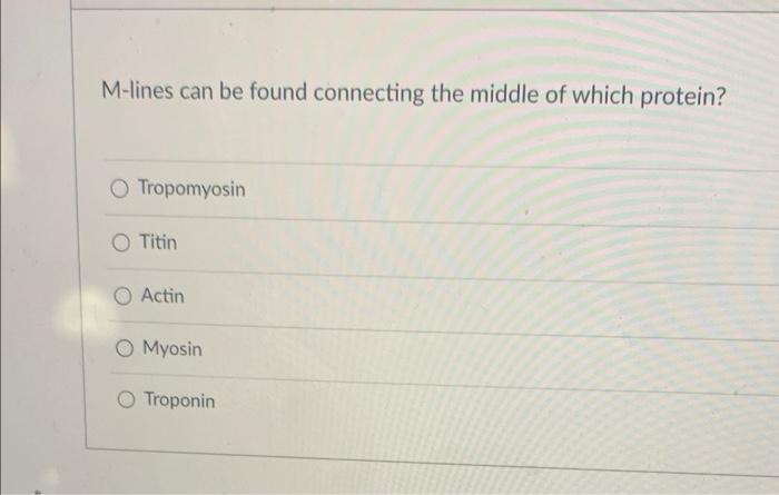 Solved M-lines can be found connecting the middle of which | Chegg.com