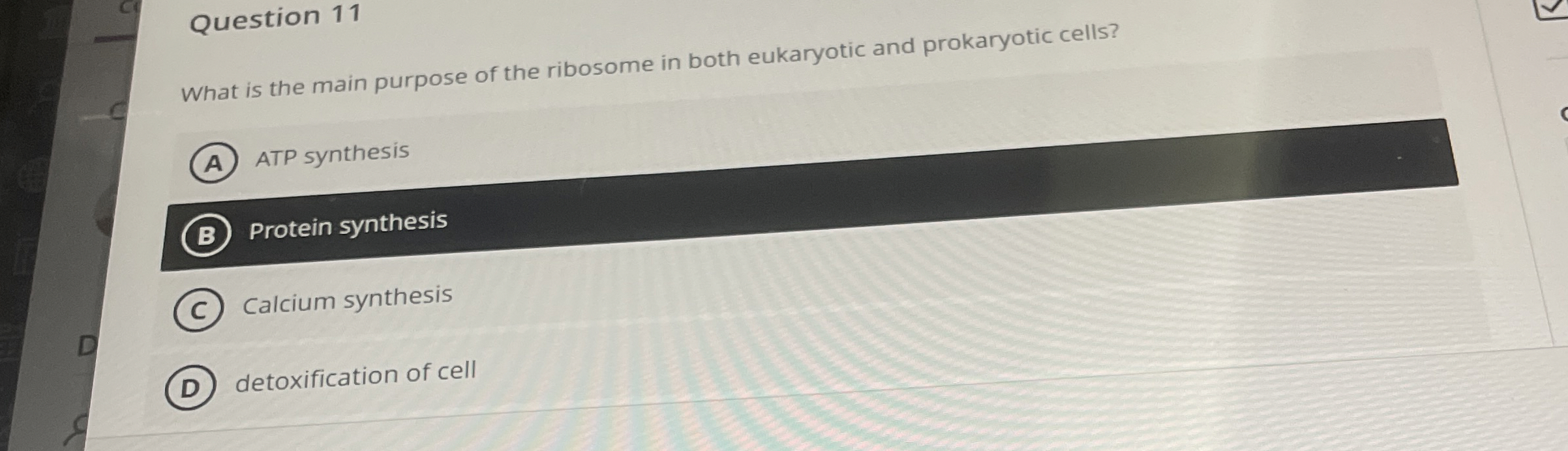 Solved Question 11What is the main purpose of the ribosome | Chegg.com