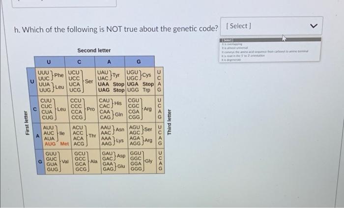 Solved The sequence of a COMPLETE hypothetical eukaryotic | Chegg.com