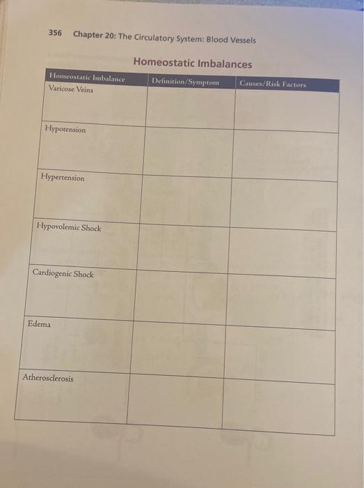 Solved 356 Chapter 20: The Circulatory System: Blood Vessels | Chegg.com