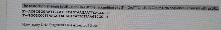 Solved The restriction enzyme ECOR1 cuts DNA at the | Chegg.com