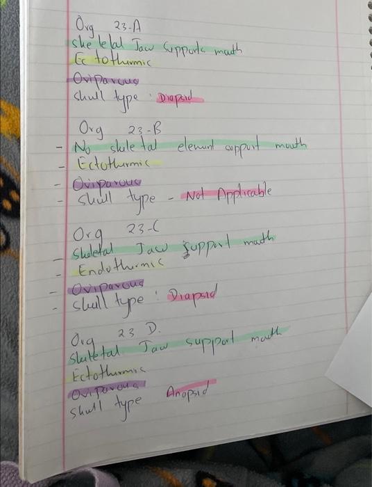 - Org 23-A skeletal Jaw Supports mouth Ec to thermic | Chegg.com