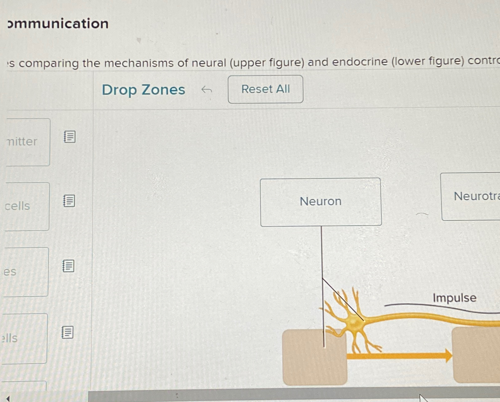 Solved ommunicationis comparing the mechanisms of neural | Chegg.com