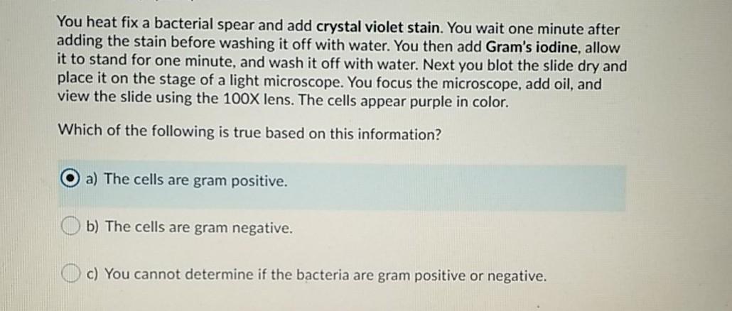 Solved You heat fix a bacterial spear and add crystal violet | Chegg.com