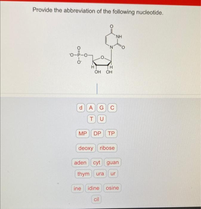 Solved Provide the abbreviation of the following nucleotide. | Chegg.com