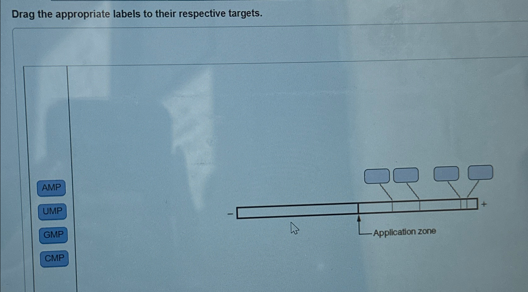 Solved Drag the appropriate labels to their respective | Chegg.com