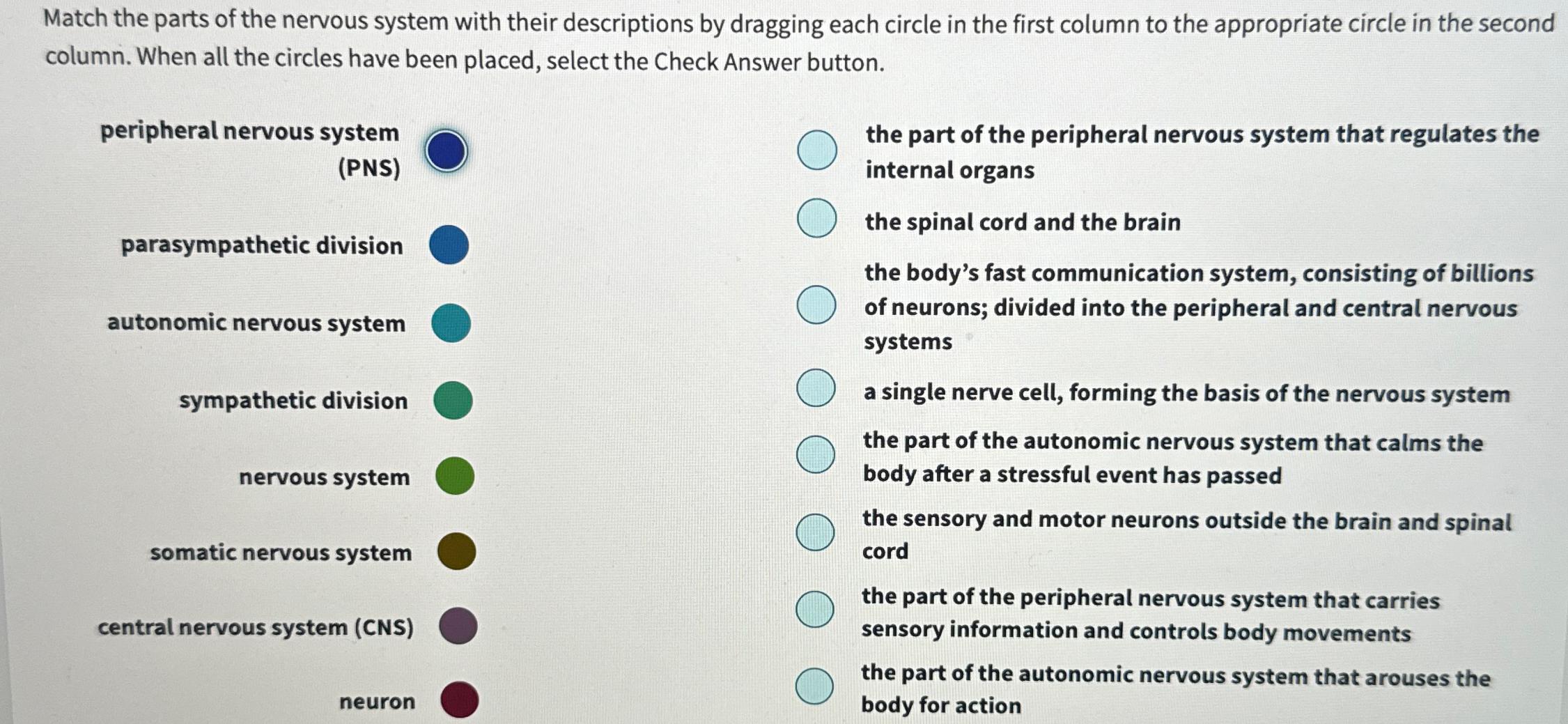 Solved Match the parts of the nervous system with their | Chegg.com