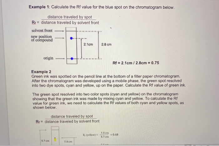 Solved REPORT - CHML 1045 Assignment: Paper Chromatography | Chegg.com